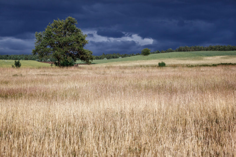 17 Strategies for Coping with Lack of Sunshine • Vicki O'Dell